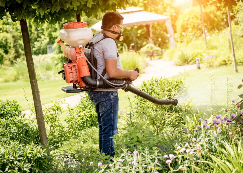 ¿Qué es y para qué sirve la sulfatadora? - Herrajardín