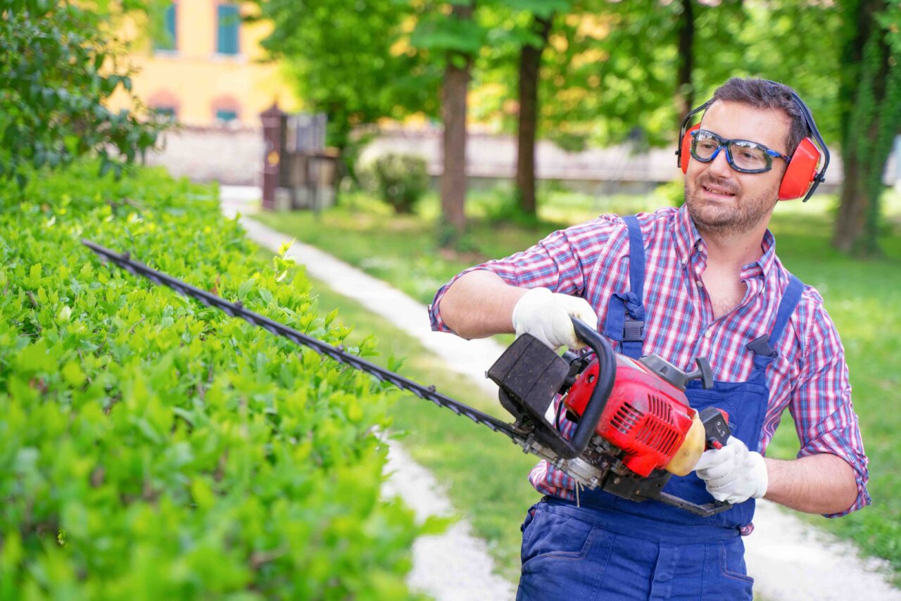 4 trucos para usar el cortasetos - Herrajardín